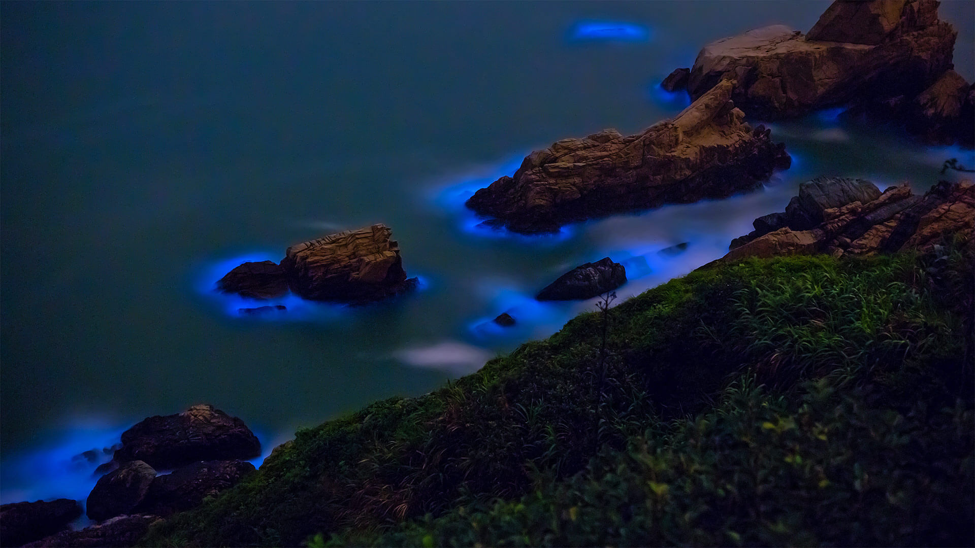 Blue tides at night by Microsoft | Wallpapers | WallpaperHub